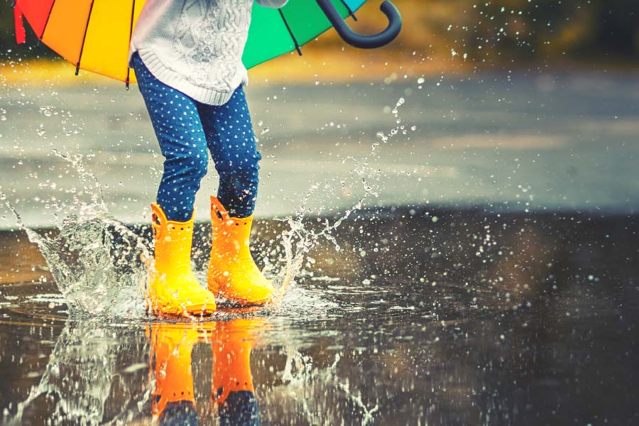 Map Organizer Outagemap